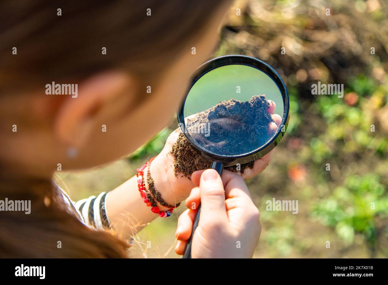 Holding glass tubes of soil hi-res stock photography and images - Alamy