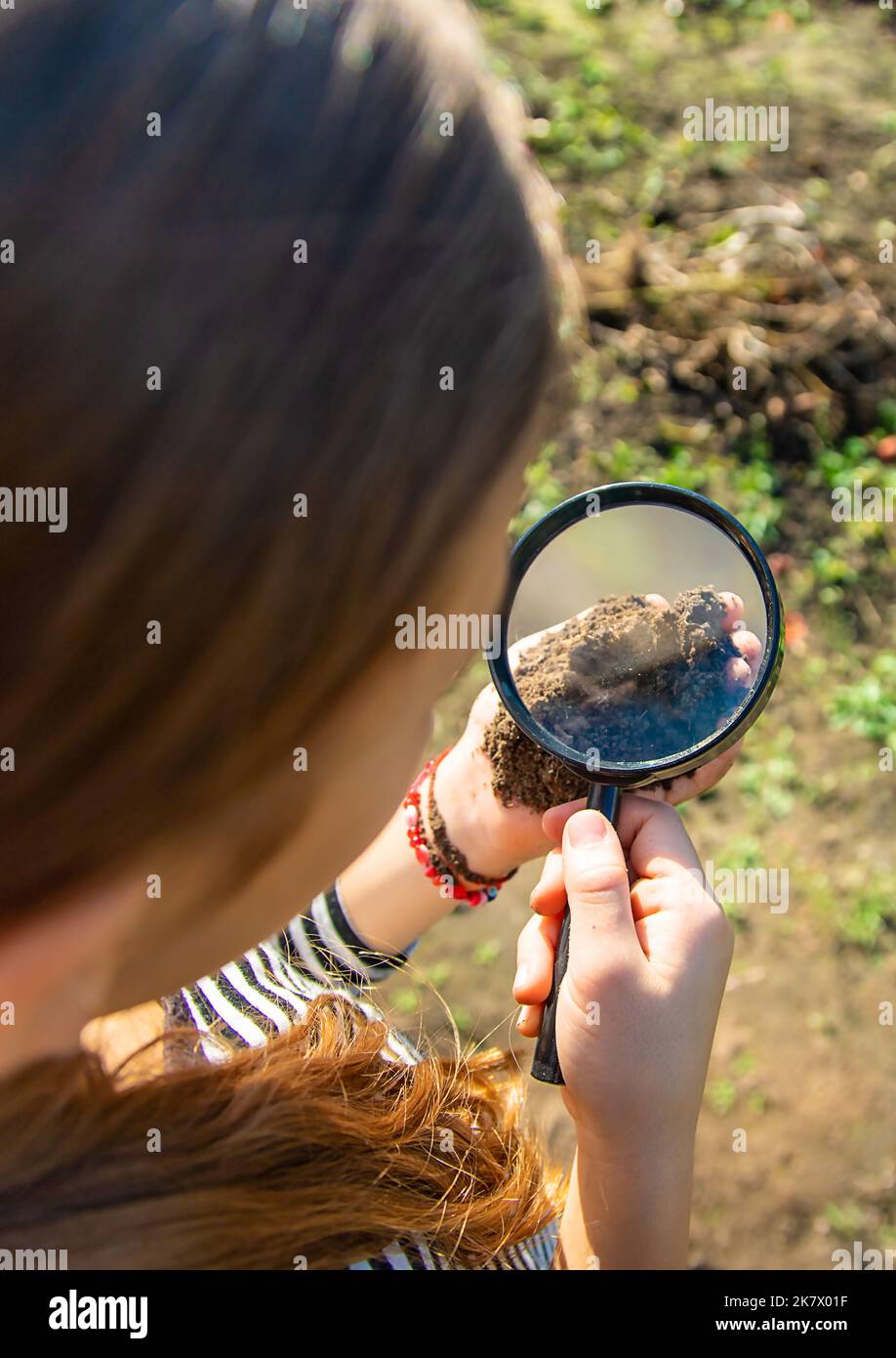 Holding glass tubes of soil hi-res stock photography and images - Alamy