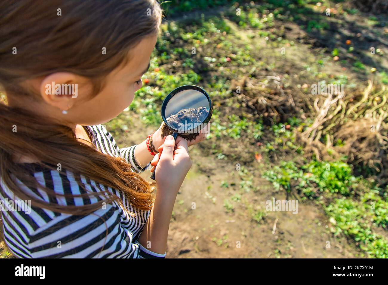 Holding glass tubes of soil hi-res stock photography and images - Alamy