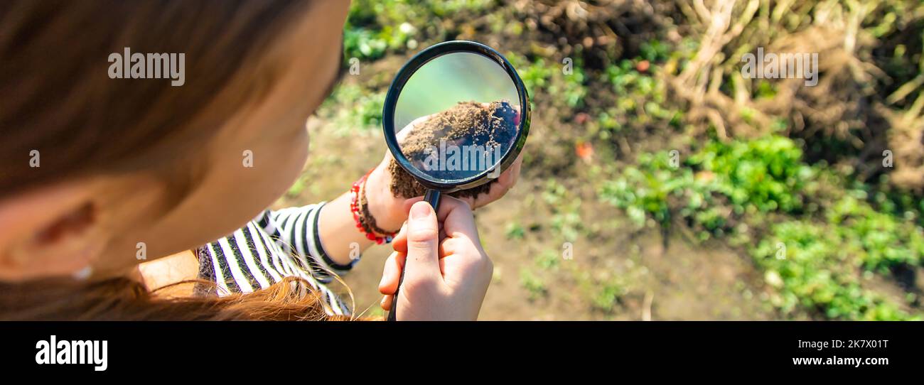 Children examine the soil with a magnifying glass. Selective focus ...
