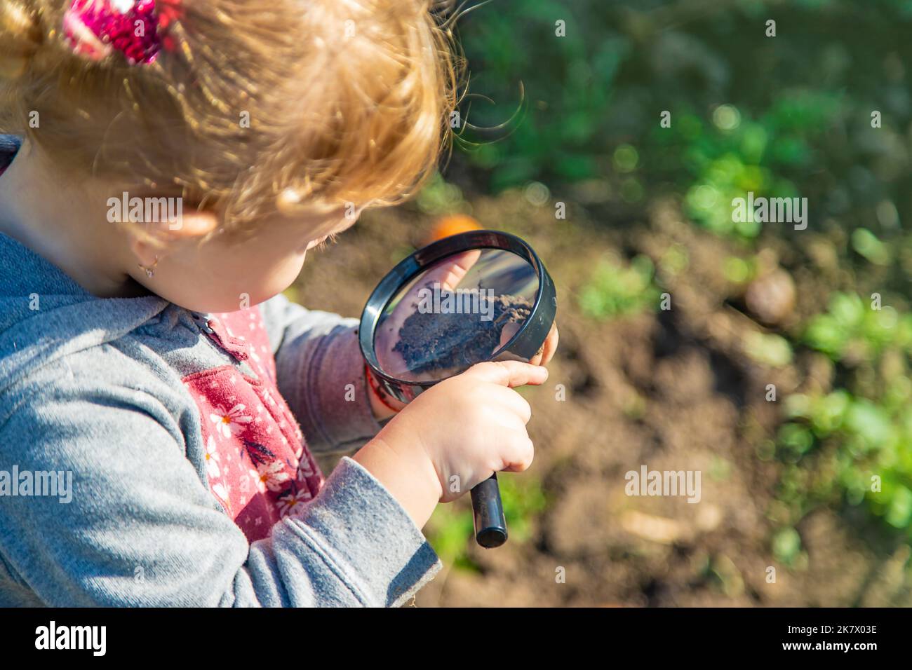 Holding glass tubes of soil hi-res stock photography and images - Alamy