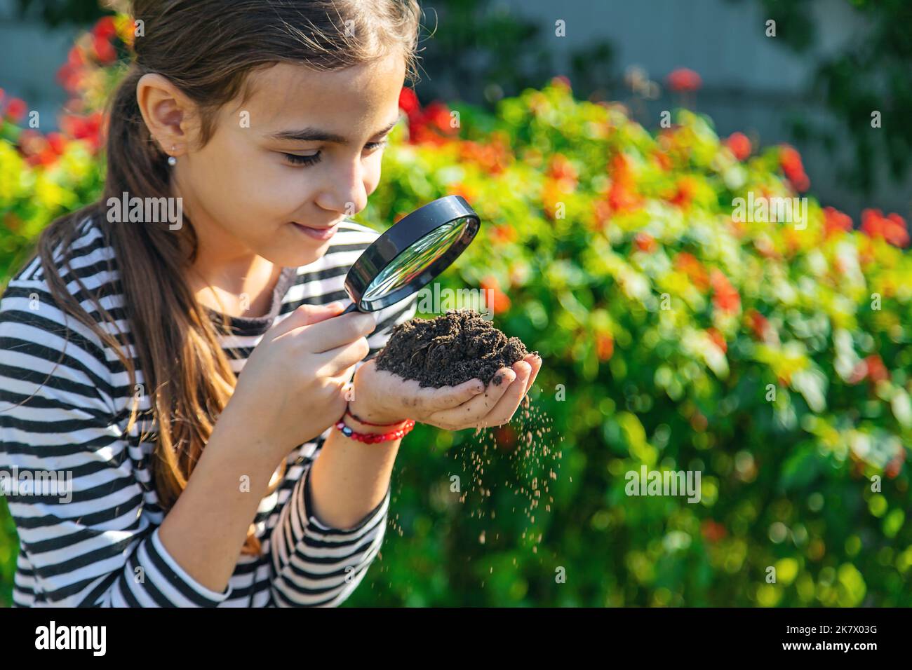 Holding glass tubes of soil hi-res stock photography and images - Alamy