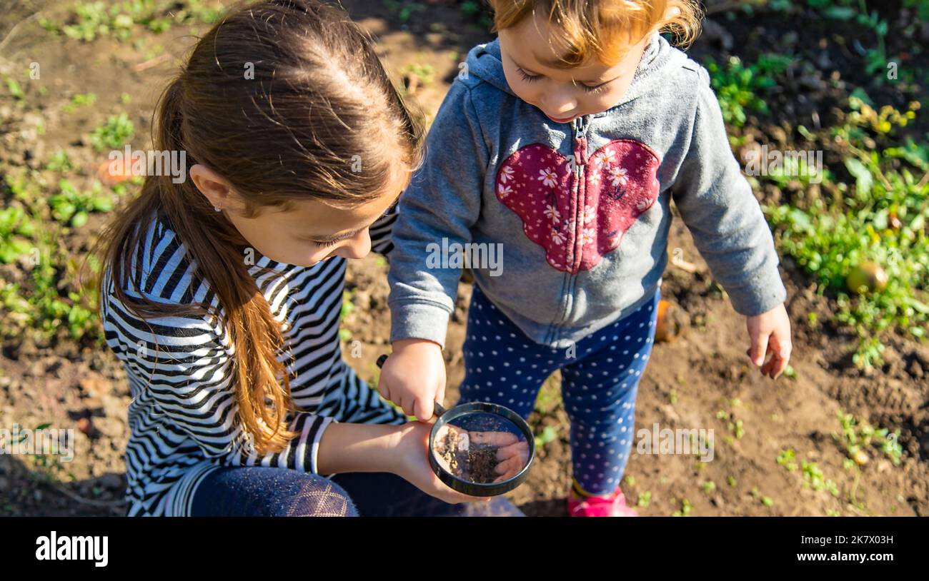 Holding glass tubes of soil hi-res stock photography and images - Alamy
