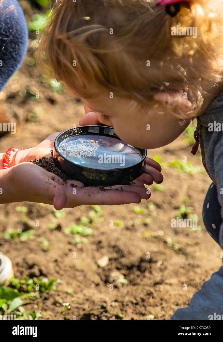 Holding glass tubes of soil hi-res stock photography and images - Alamy
