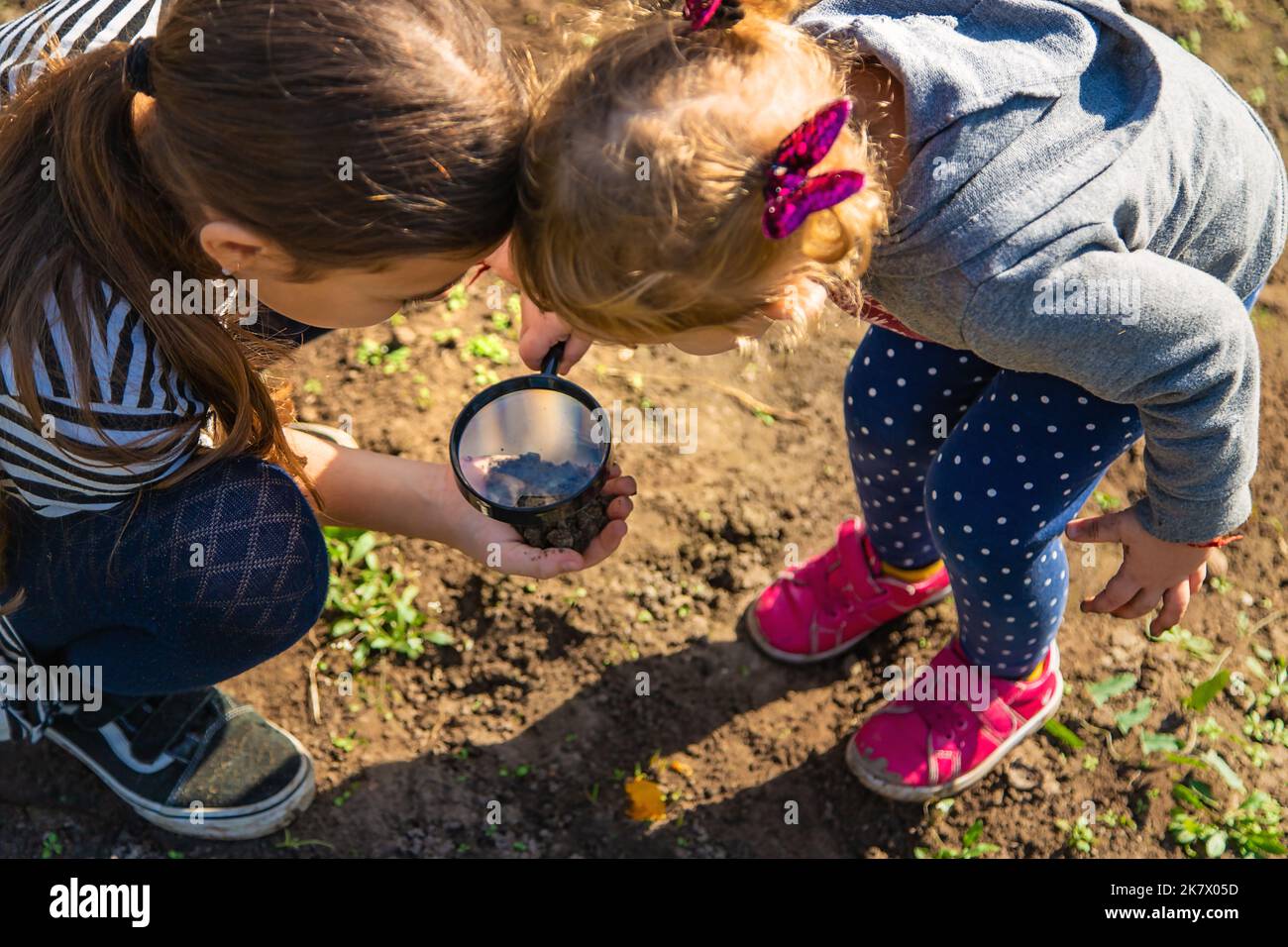 Holding glass tubes of soil hi-res stock photography and images - Alamy