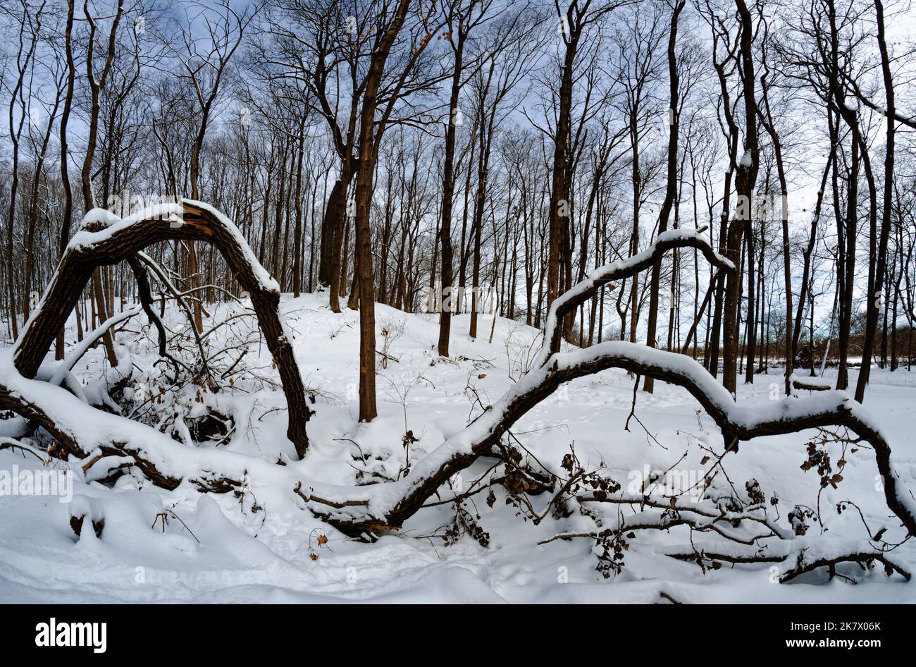 Freezing preserve hi-res stock photography and images - Alamy