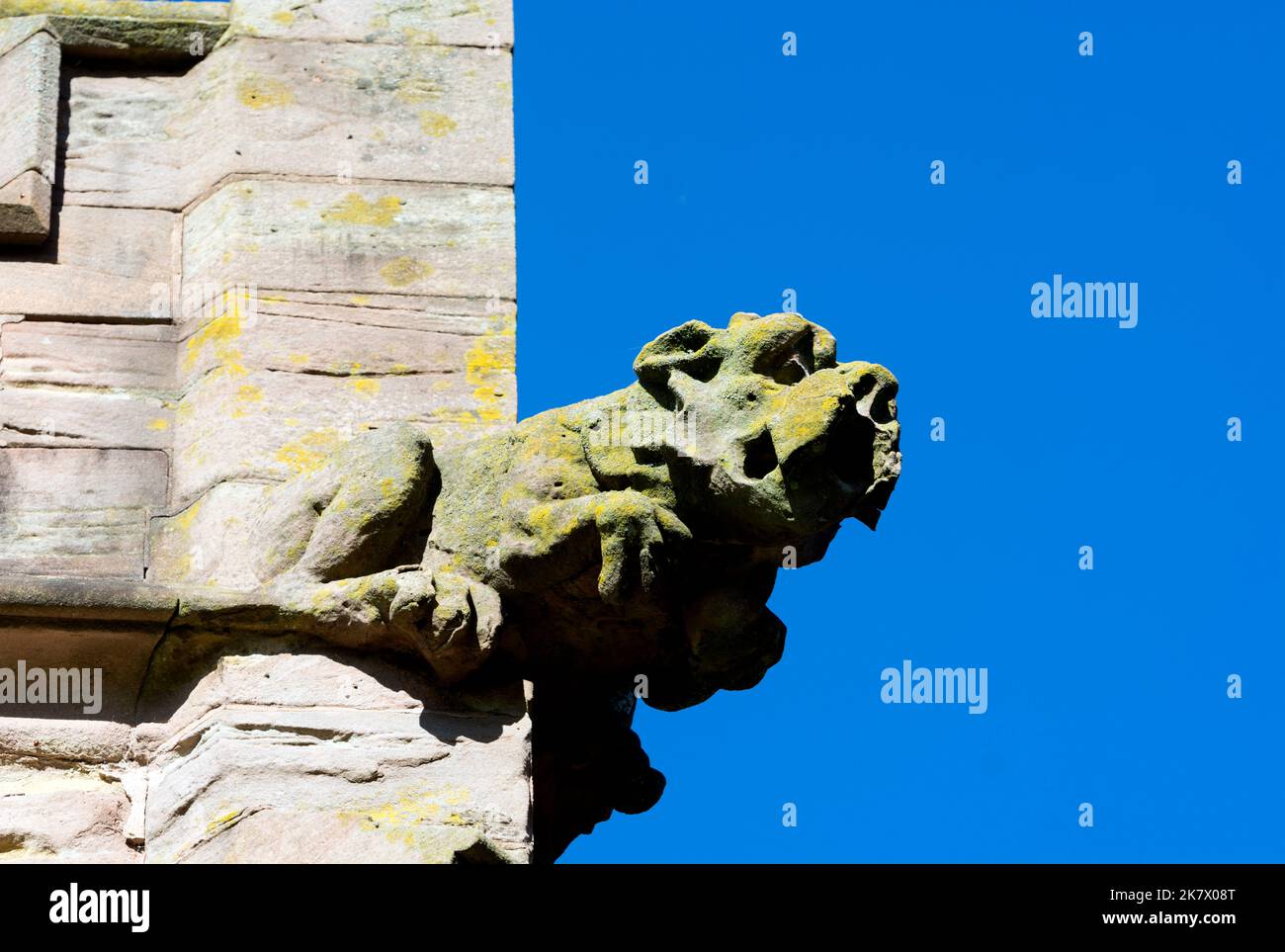 A gargoyle on St. Peter and St. Paul Church, Coleshill, Warwickshire ...