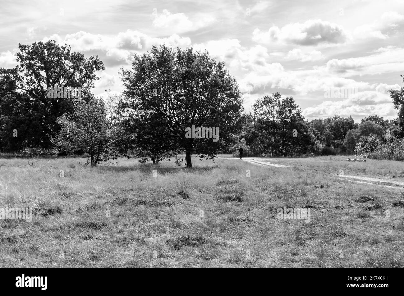 City of london green travel Black and White Stock Photos & Images - Alamy