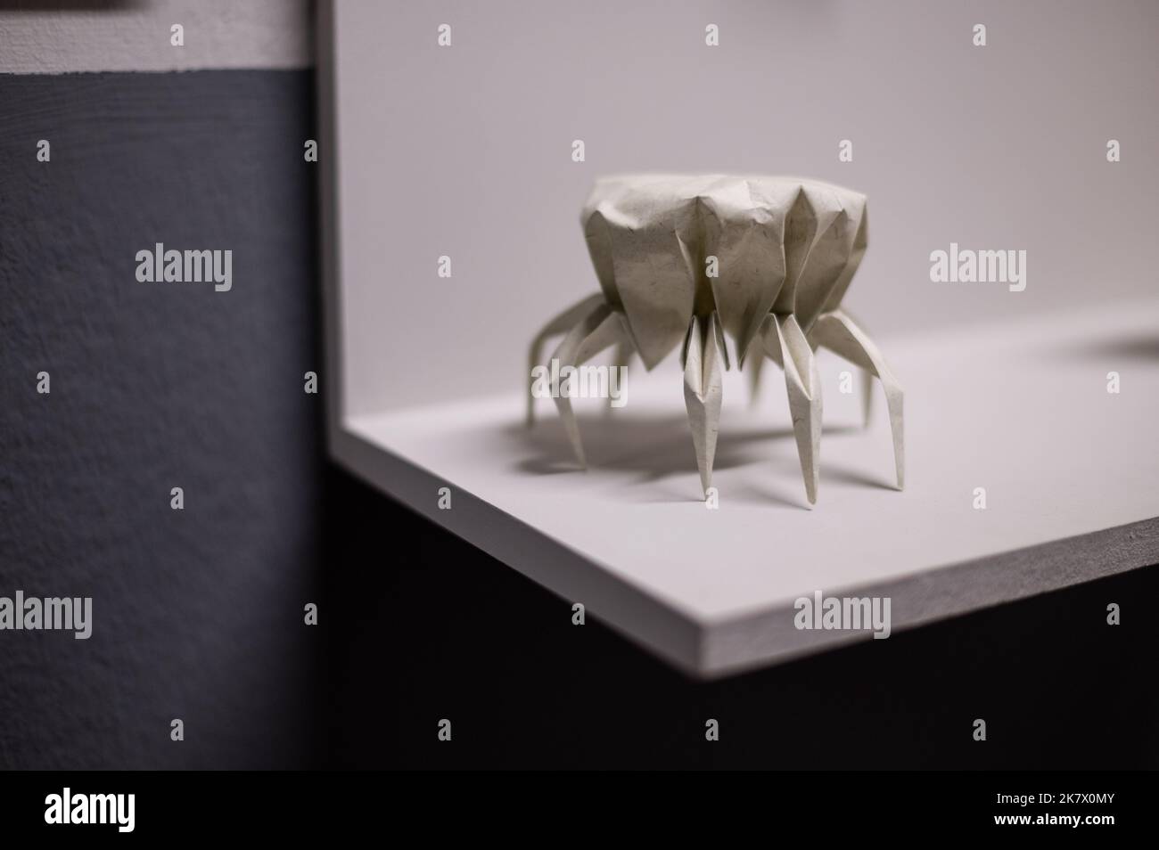 Emoz museum of the art of origami, with special exhibitions & hands-on ...