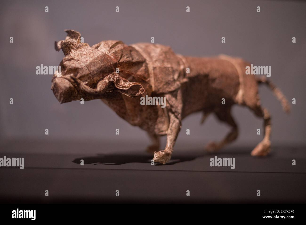 Emoz museum of the art of origami, with special exhibitions & hands-on ...