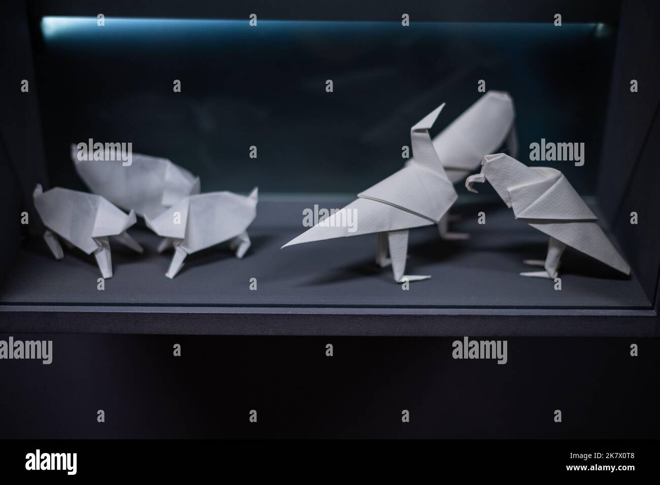 Emoz museum of the art of origami, with special exhibitions & hands-on ...