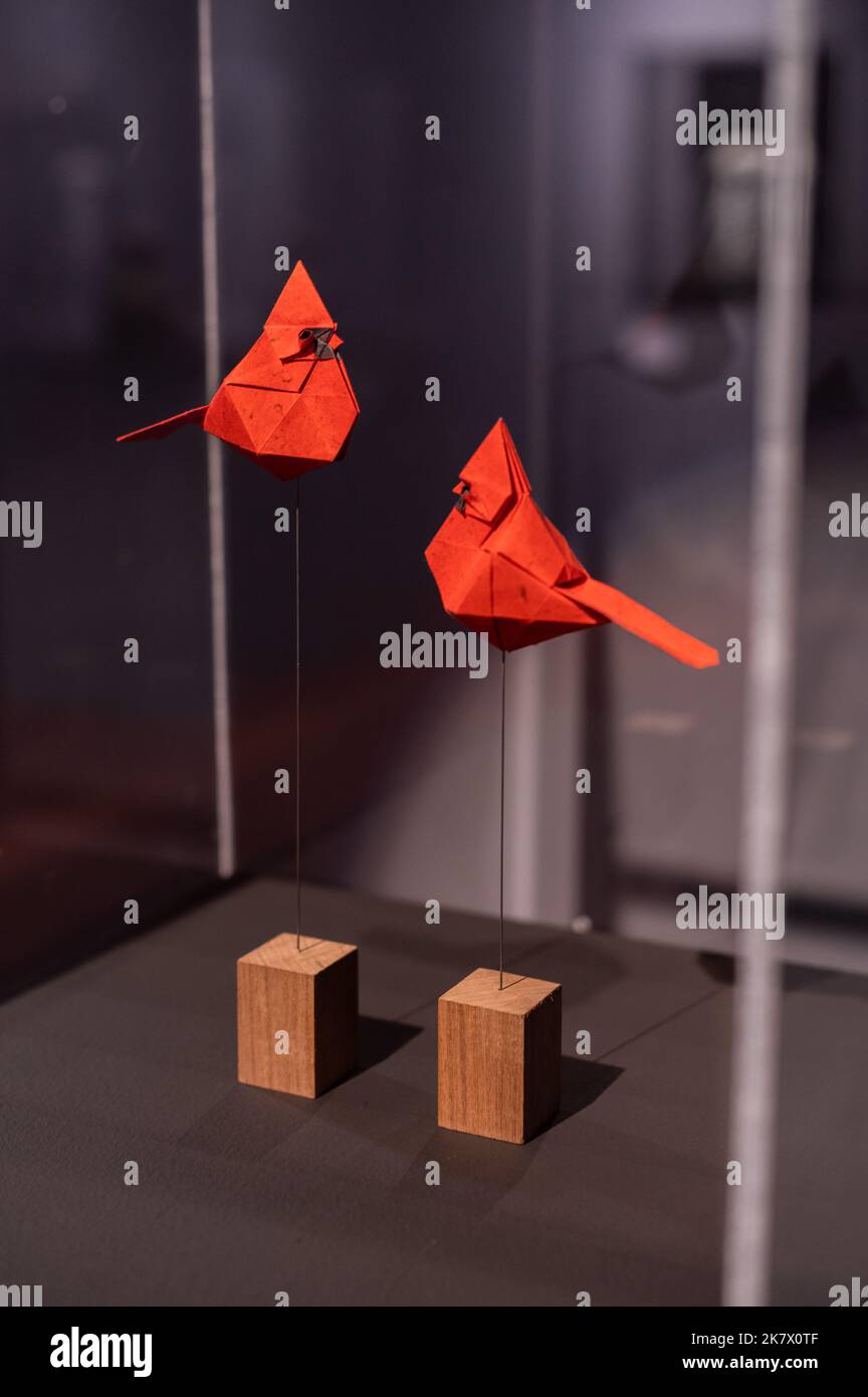 Beth Johnson origami artist exhibition at Emoz museum of the art of ...