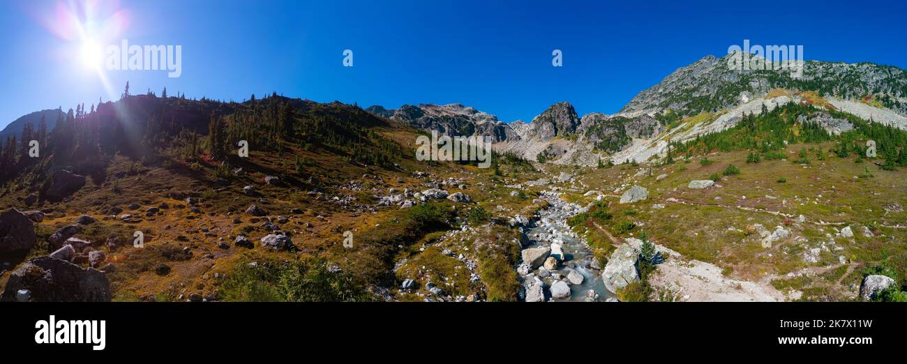 Aerial Panoramic View of River with green trees in Canadian Mountain ...