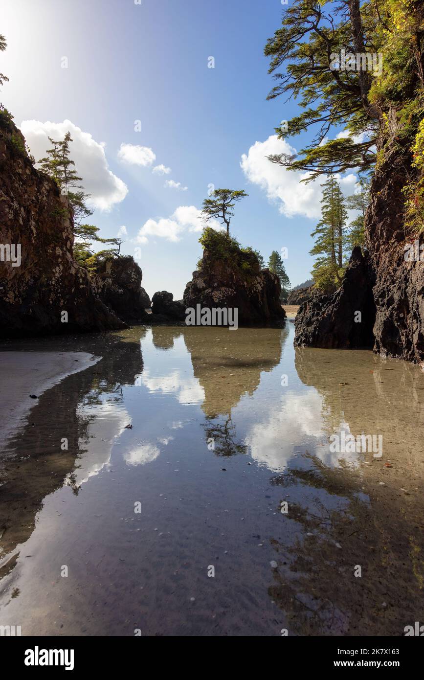 Sandy beach on Pacific Ocean Coast View. Sunny Blue Sky. San Josef Bay ...