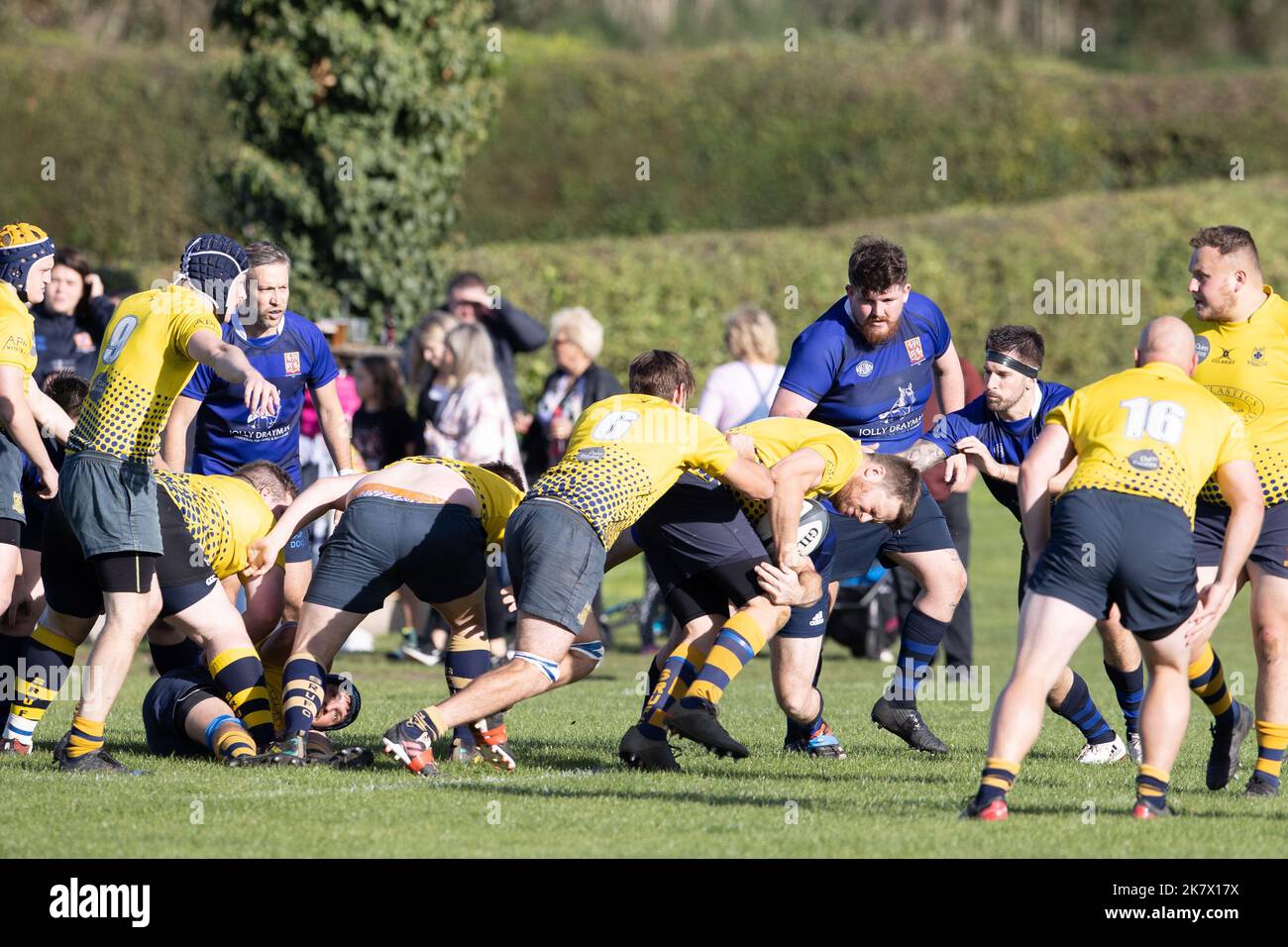 rugby game, rugby player, rugby team, rugby ballrugby tackle,rugby ...