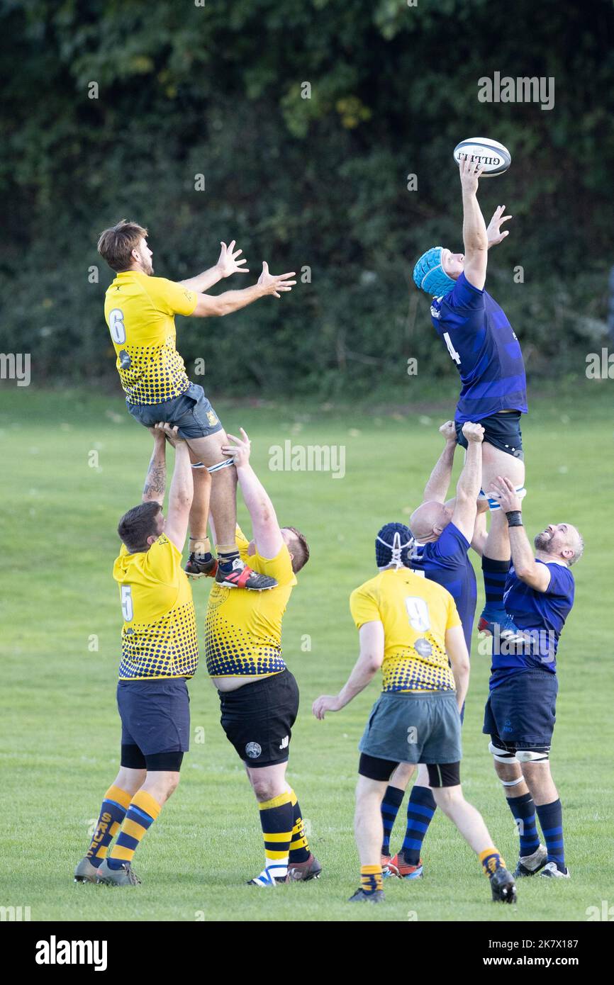 rugby game, rugby player, rugby team, rugby ballrugby tackle,rugby ...