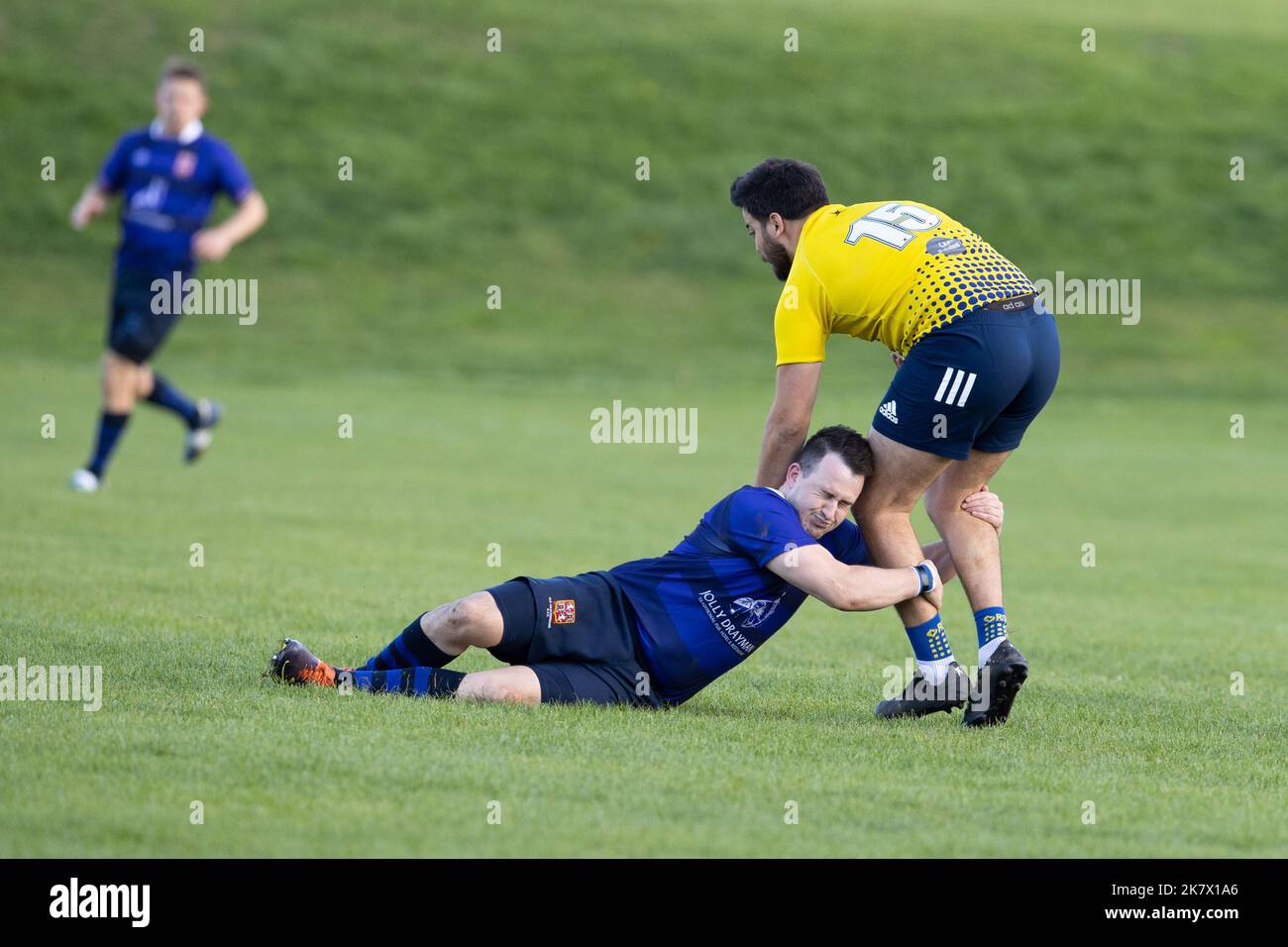 rugby game, rugby player, rugby team, rugby ballrugby tackle,rugby ...