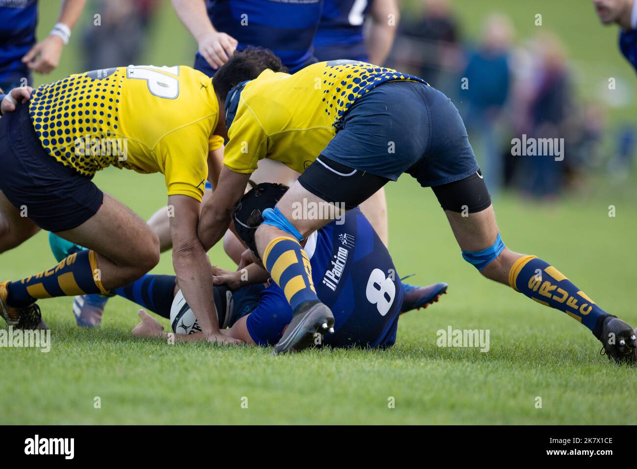 rugby game, rugby player, rugby team, rugby ballrugby tackle,rugby ...