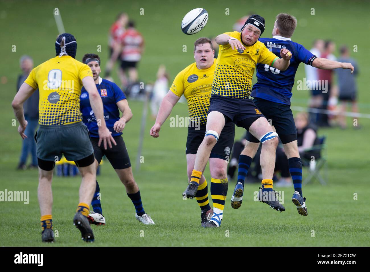 rugby game, rugby player, rugby team, rugby ballrugby tackle,rugby ...