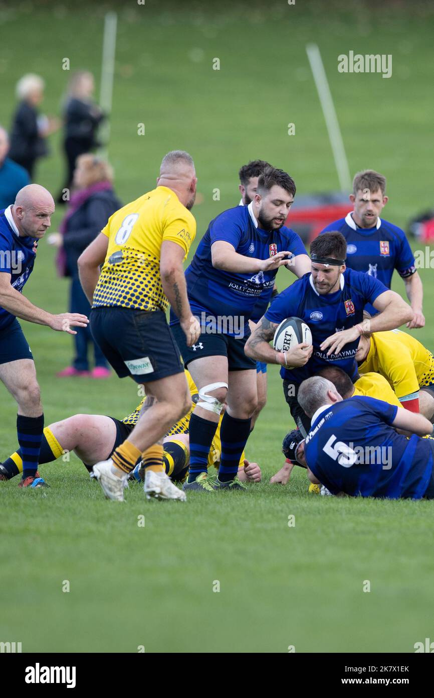 rugby game, rugby player, rugby team, rugby ballrugby tackle,rugby ...