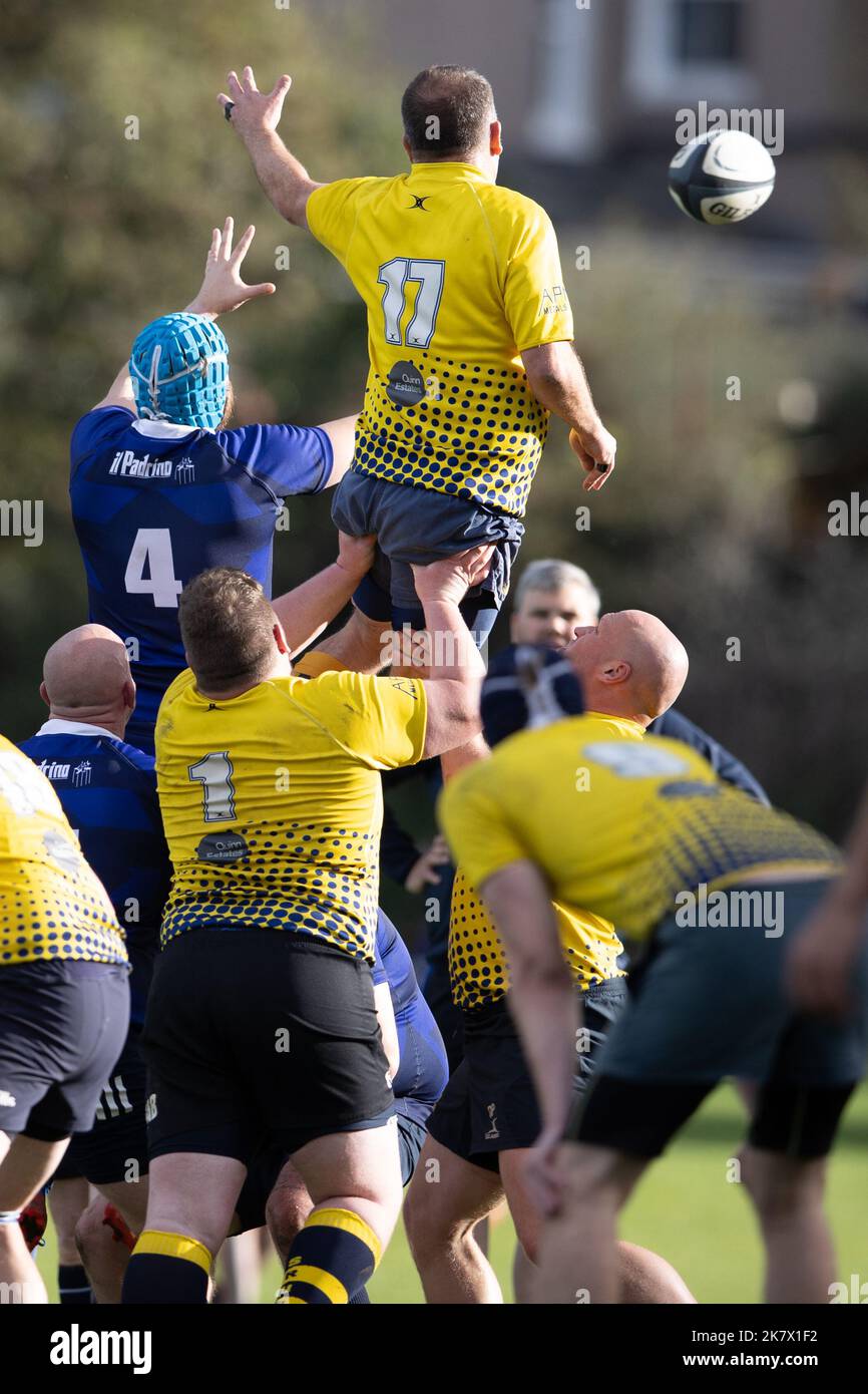 rugby game, rugby player, rugby team, rugby ballrugby tackle,rugby ...