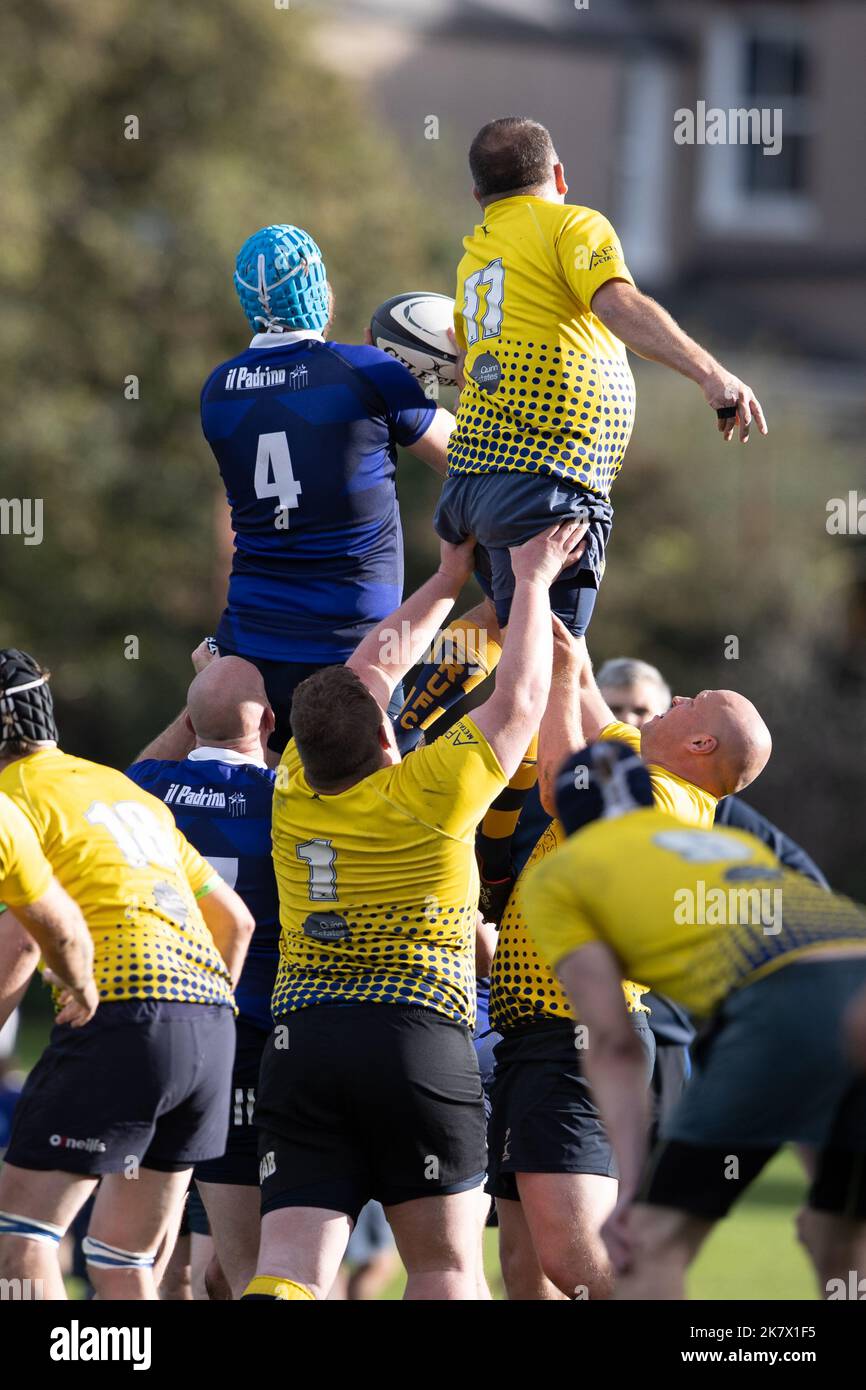 rugby game, rugby player, rugby team, rugby ballrugby tackle,rugby ...