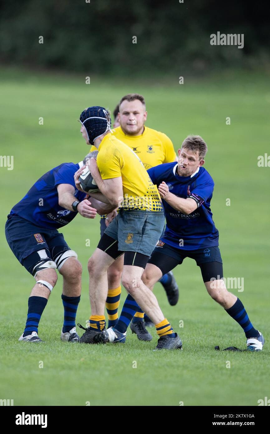 rugby game, rugby player, rugby team, rugby ballrugby tackle,rugby ...