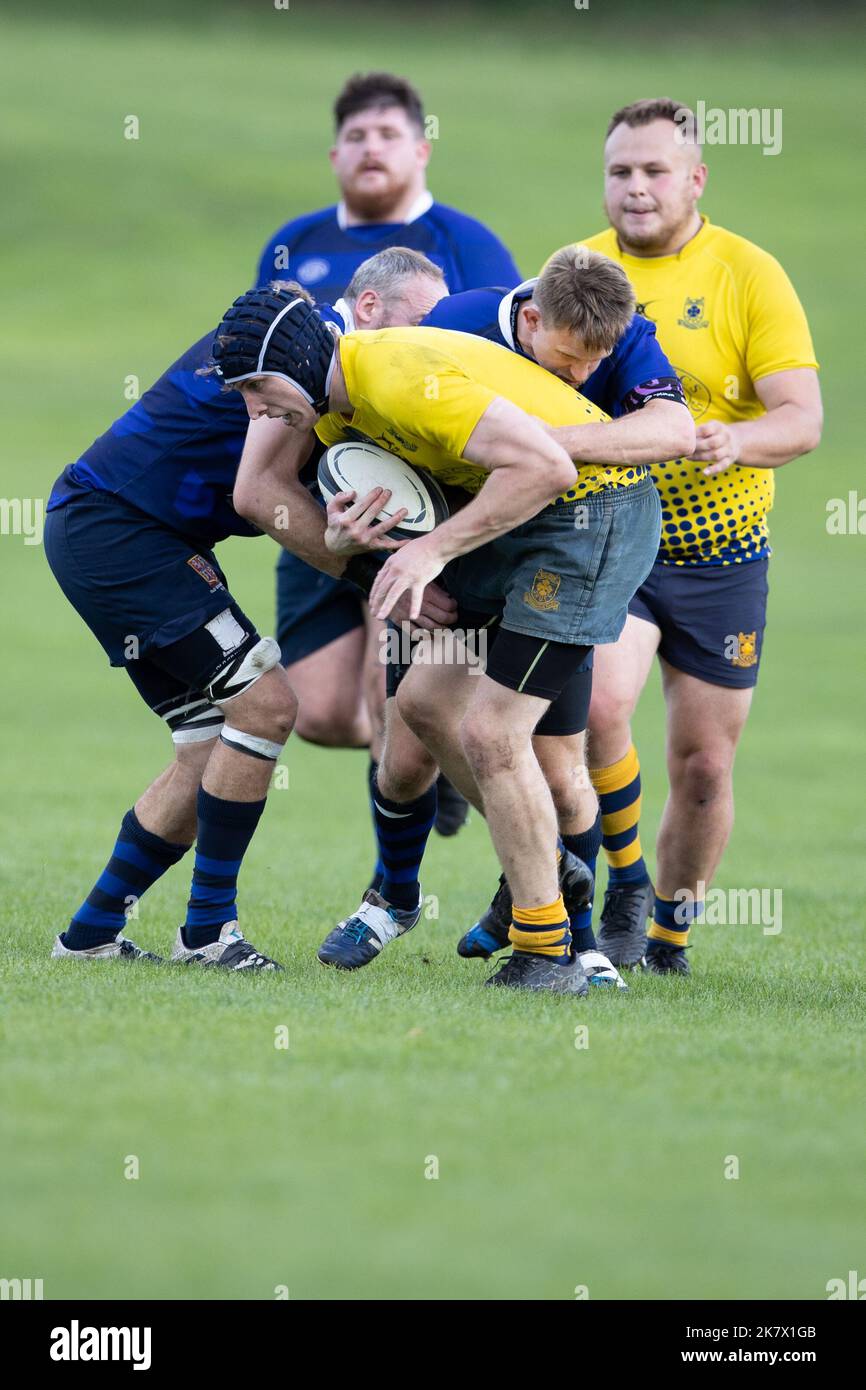 rugby game, rugby player, rugby team, rugby ballrugby tackle,rugby ...