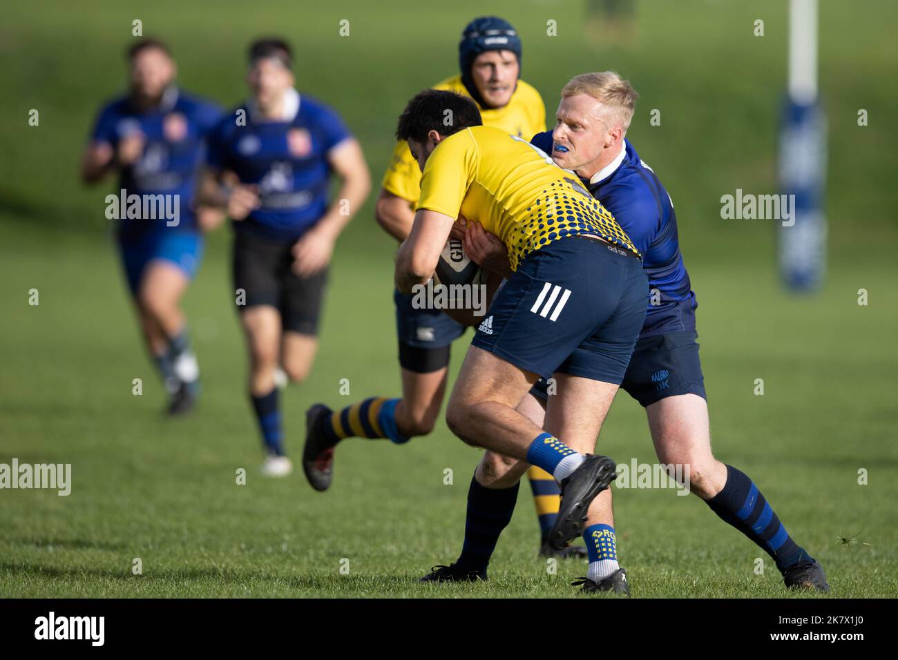 rugby game, rugby player, rugby team, rugby ballrugby tackle,rugby ...