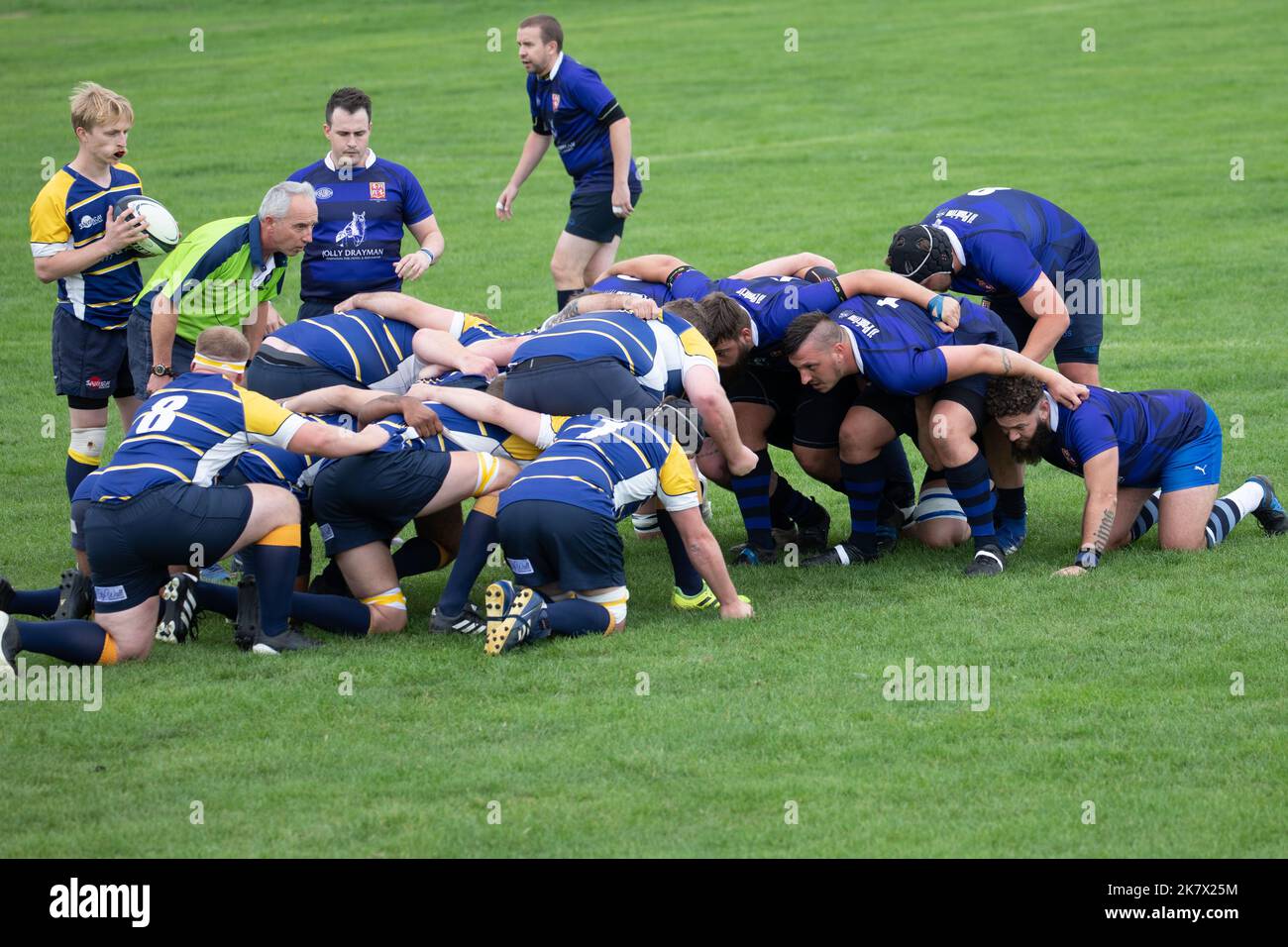 rugby game, rugby ball, team sport Stock Photo - Alamy