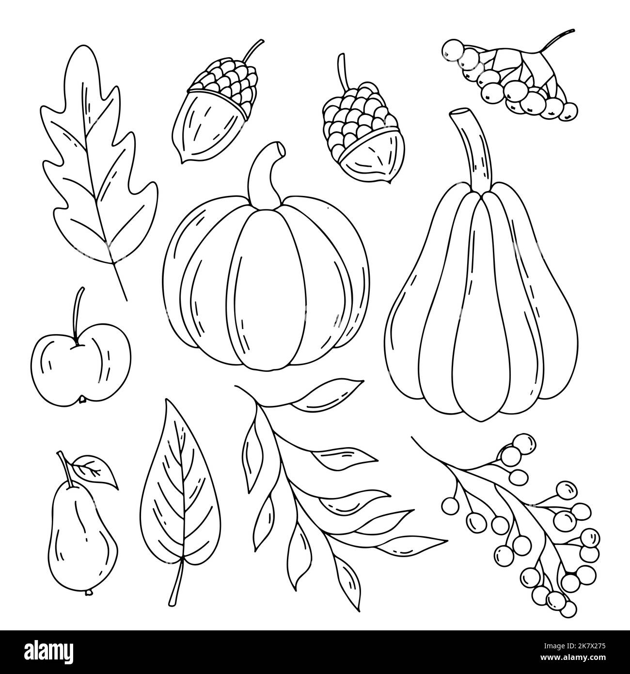 Autumn harvest doodle set. Fall symbols: fallen leaves, pumpkin, apple ...