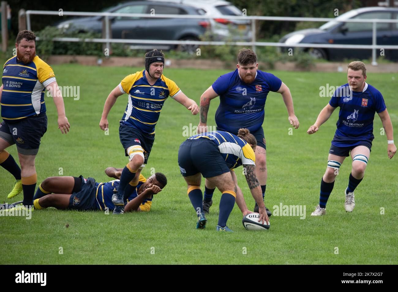 rugby game, rugby ball, team sport Stock Photo - Alamy