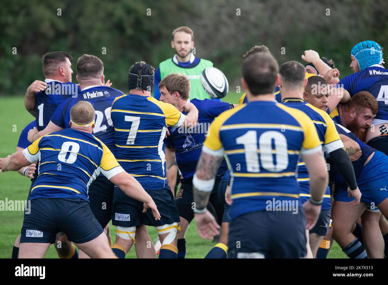 rugby game, rugby ball, team sport Stock Photo - Alamy