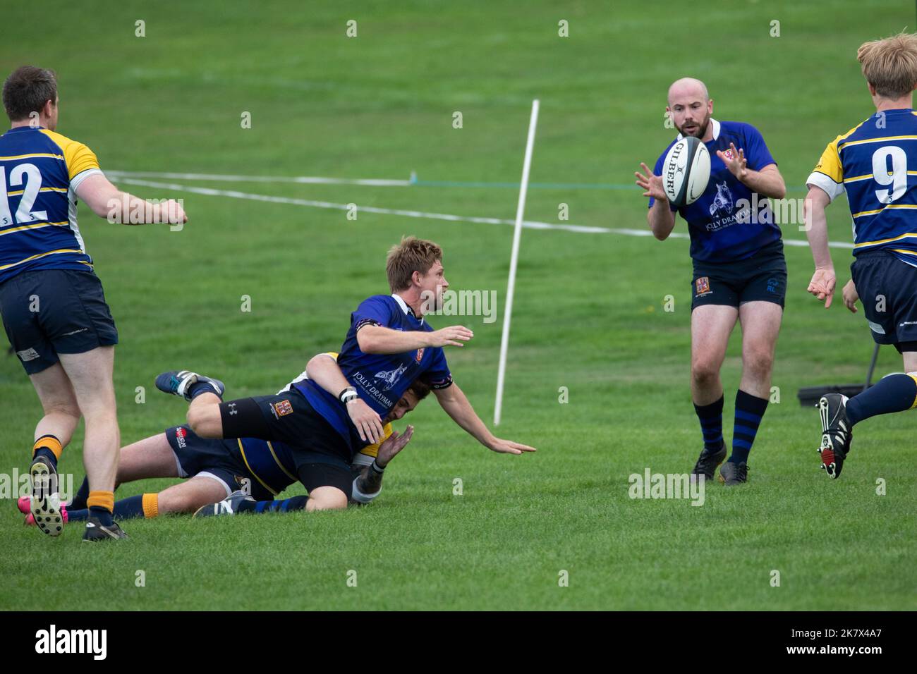 rugby game, rugby ball, team sport Stock Photo - Alamy