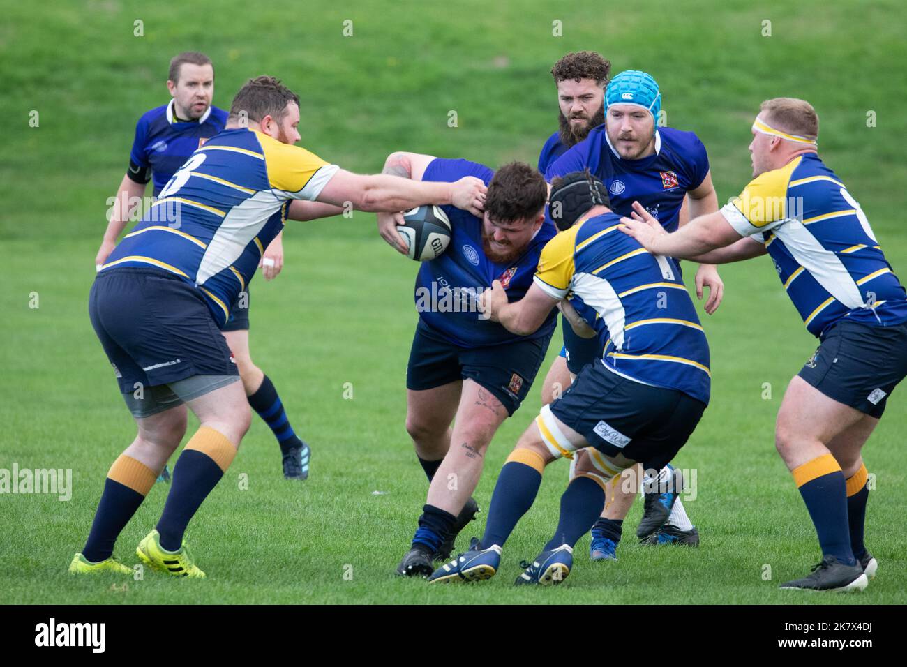 rugby game, rugby ball, team sport Stock Photo - Alamy