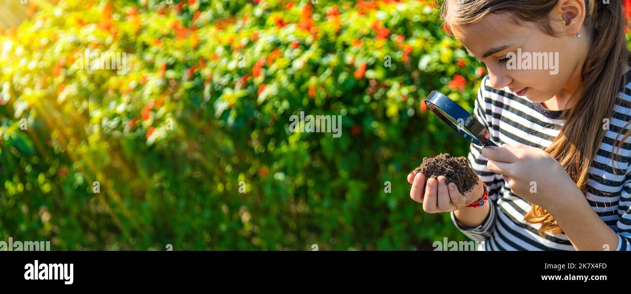 Children examine the soil with a magnifying glass. Selective focus ...