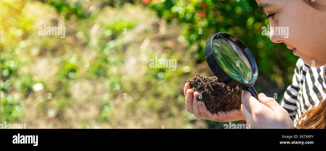 Holding glass tubes of soil hi-res stock photography and images - Alamy