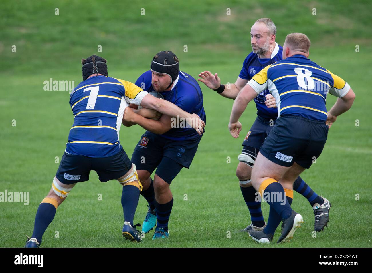 rugby game, rugby ball, team sport Stock Photo - Alamy