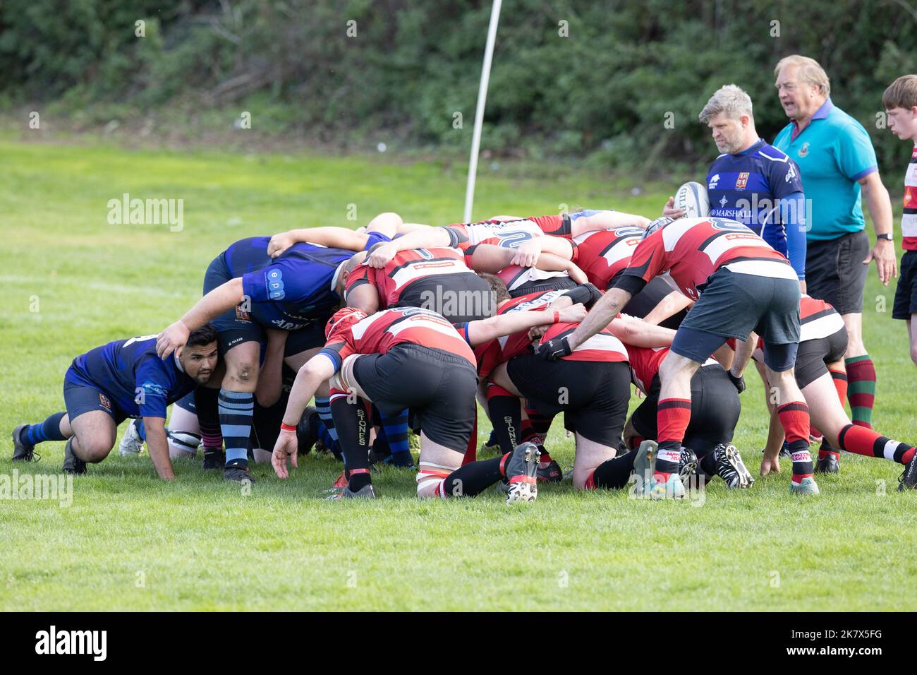 rugby game, rugby player, rugby team Stock Photo - Alamy