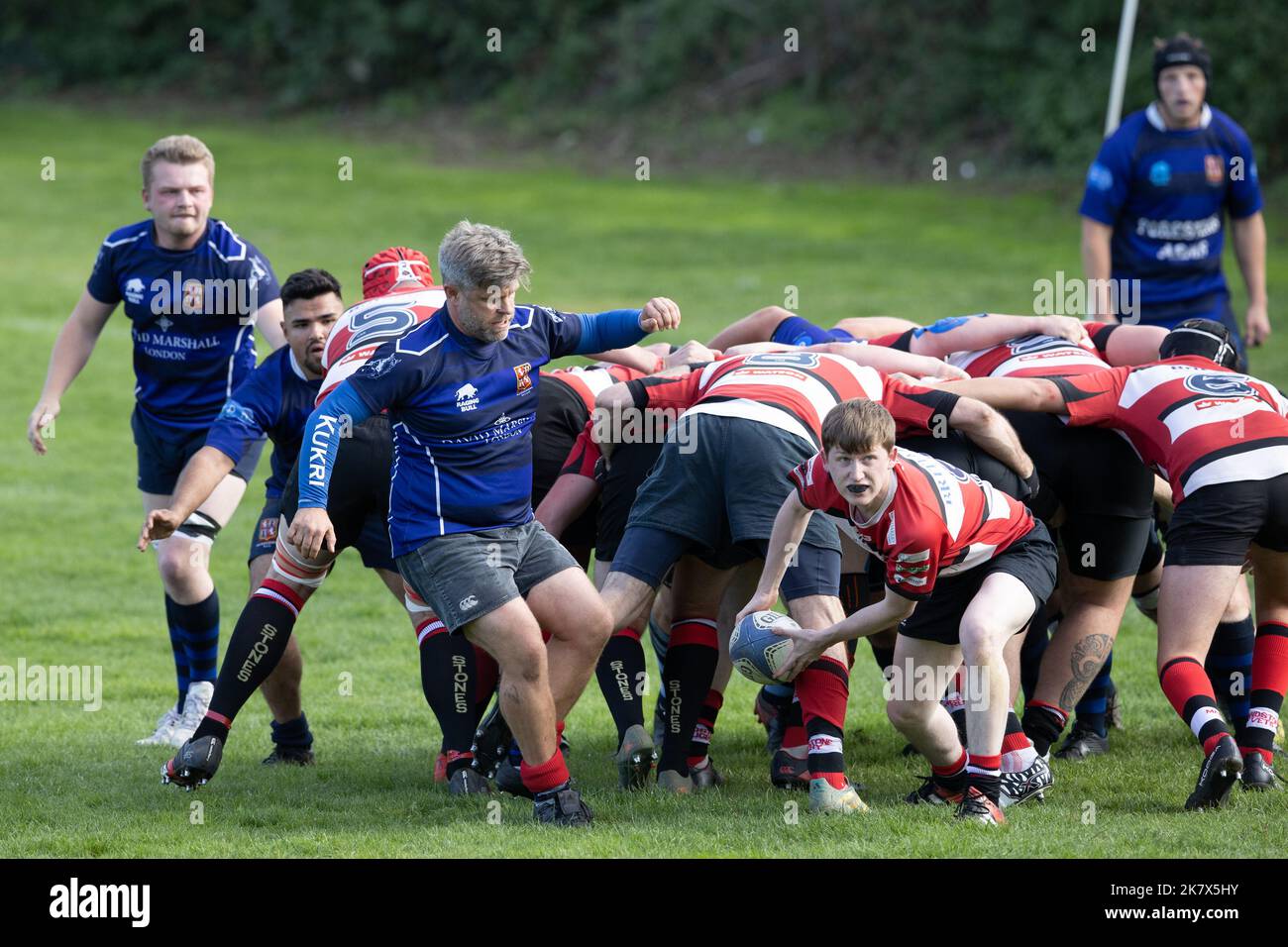 rugby game, rugby player, rugby team Stock Photo - Alamy