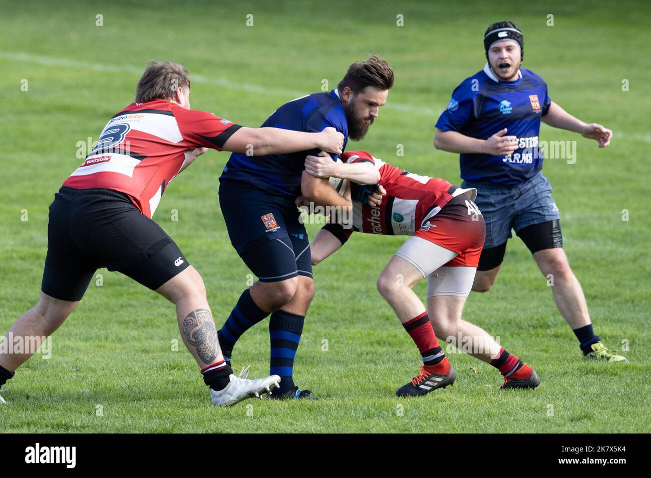 rugby game, rugby player, rugby team Stock Photo - Alamy