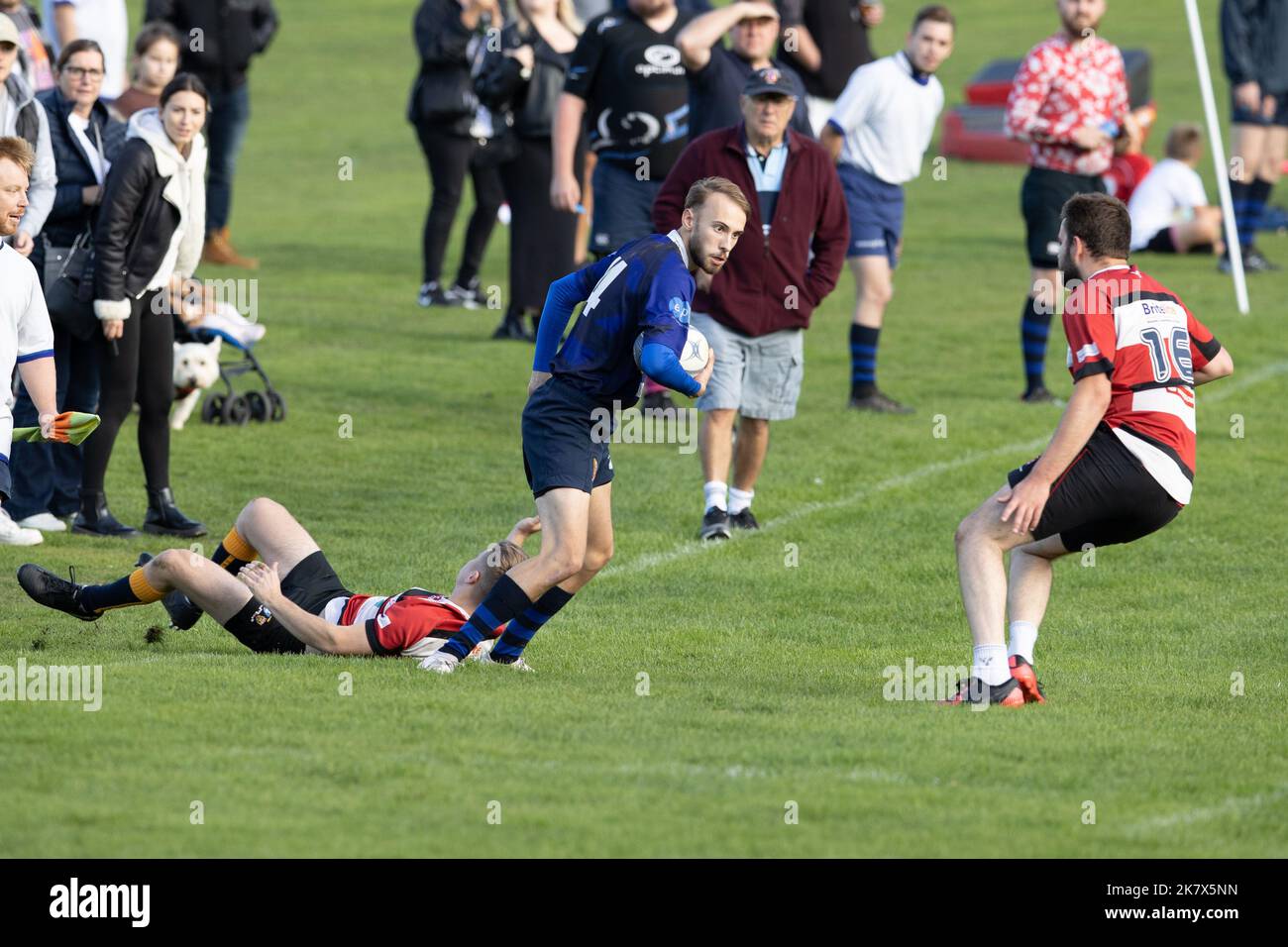 rugby game, rugby player, rugby team Stock Photo - Alamy