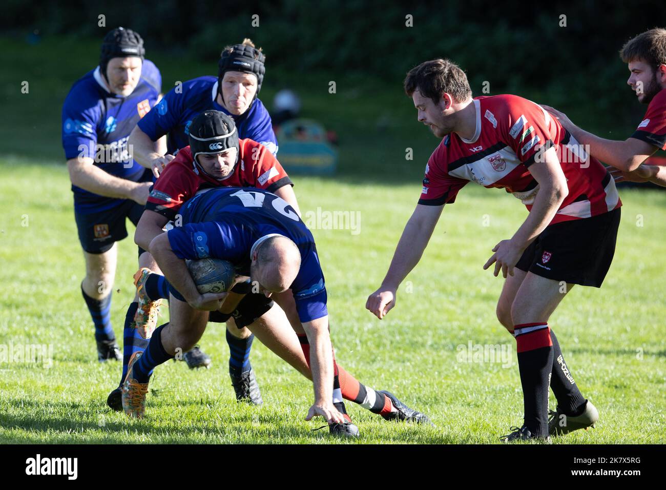 rugby game, rugby player, rugby team Stock Photo - Alamy