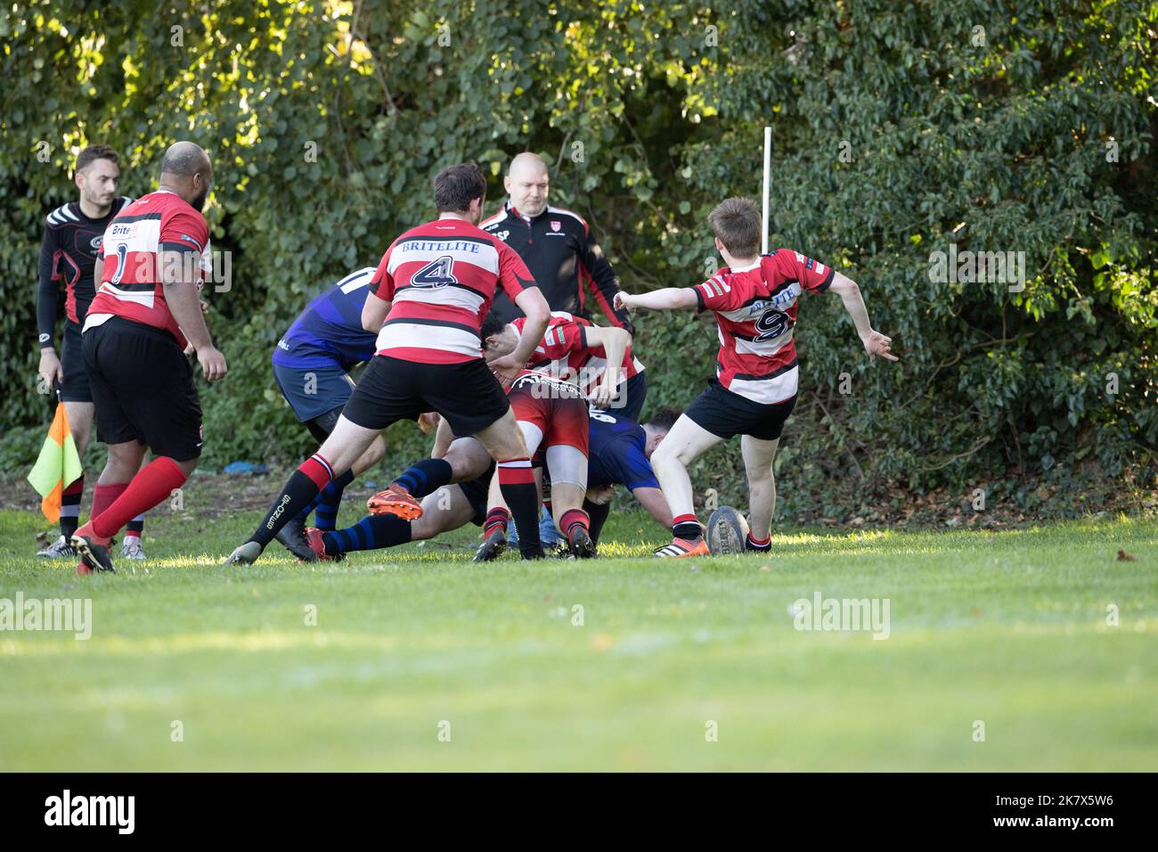 rugby game, rugby player, rugby team Stock Photo - Alamy