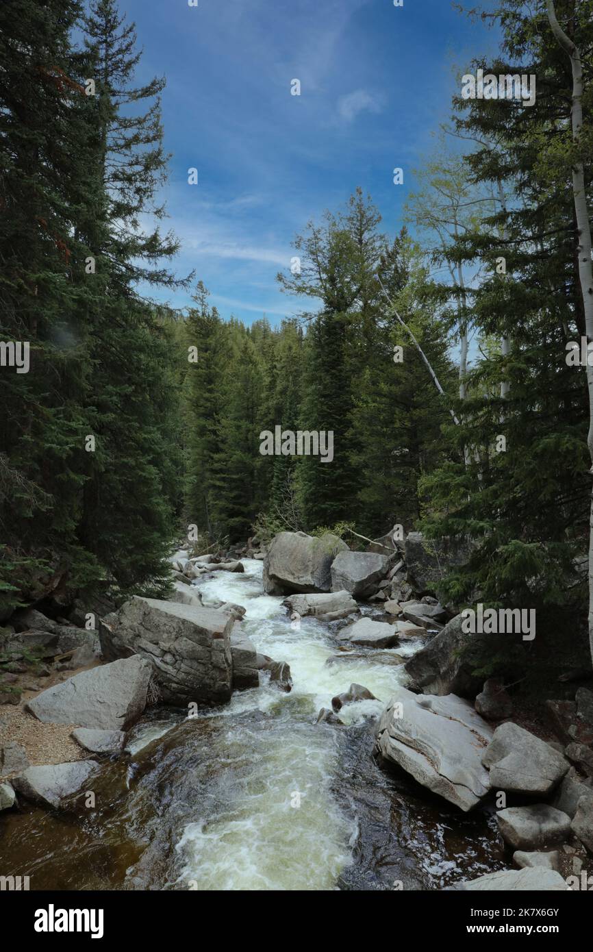 Weller lake trail hi-res stock photography and images - Alamy