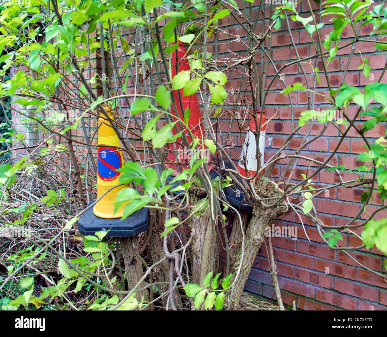 Only in Glasgow the home of cultural icon the conehead man statue would ...