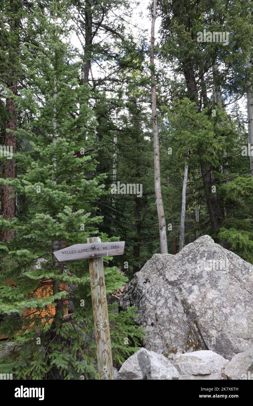 Wood Weller Lake Trail sign next to a large boulder in a forest filled ...