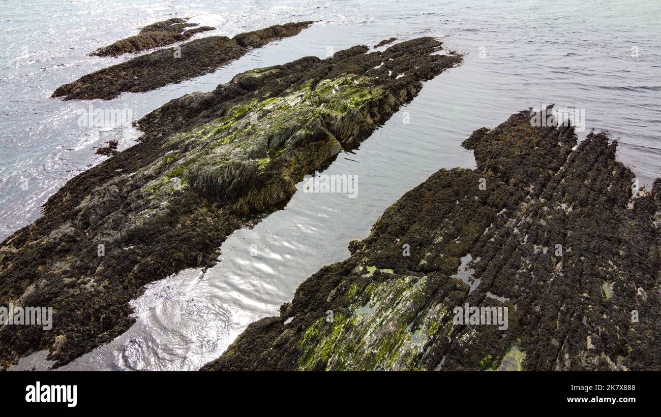 An oceanic reef. Large rocks in the sea, top view. Sea rocks in the ...