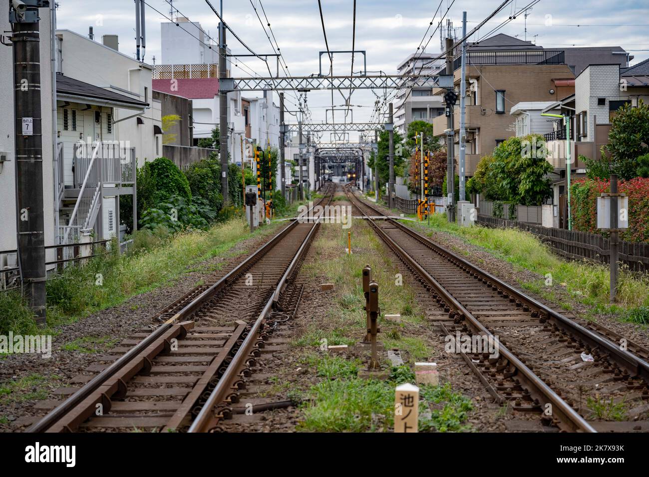 Tokyo, Japan. 19th Oct, 2022. A Keio Inokashira Line train, running ...