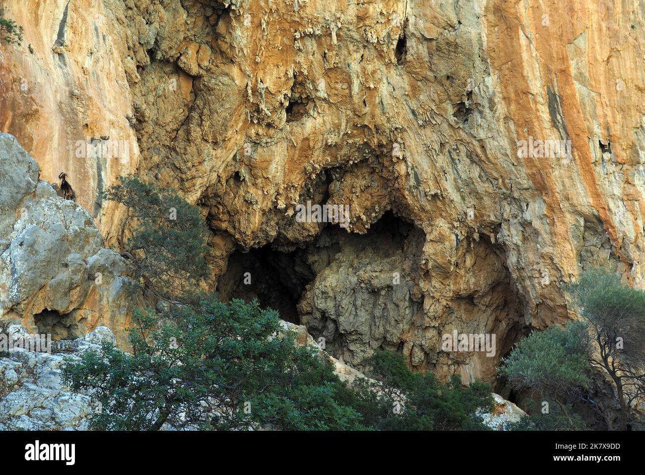 cave, Agiofarango gorge, Crete, Greece, Europe Stock Photo - Alamy